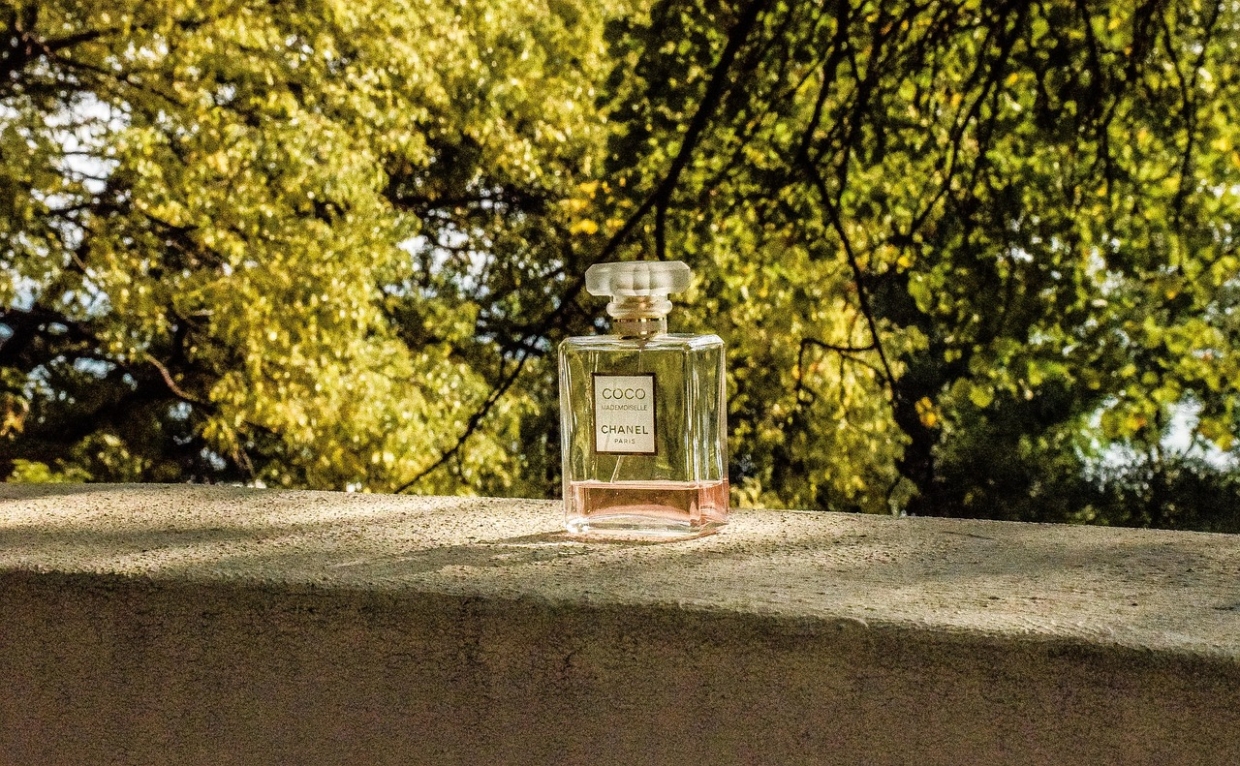 Jak ověřit originalitu parfémů Chanel? Osvědčené nejlepší metody ...